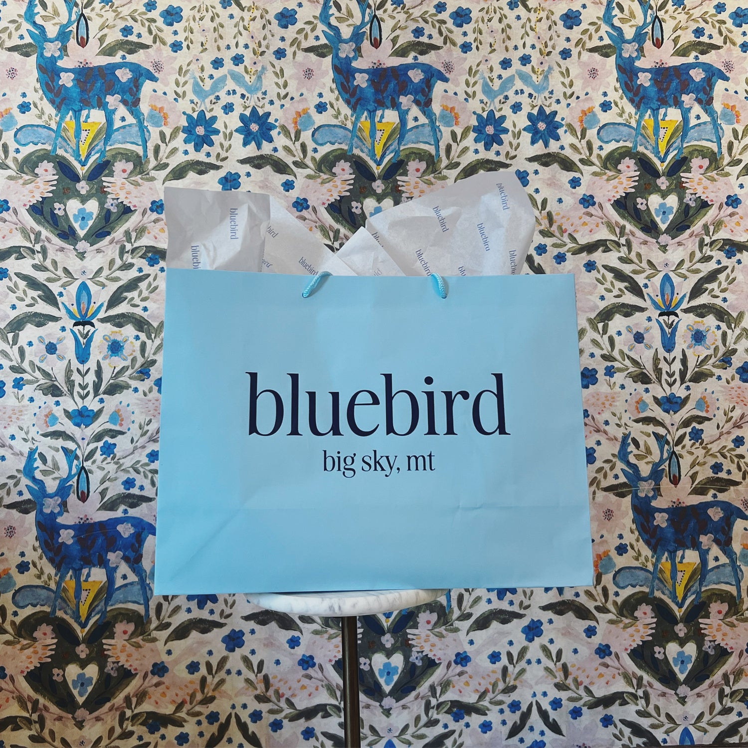 Bluebird Big Sky—where adventure meets the everyday